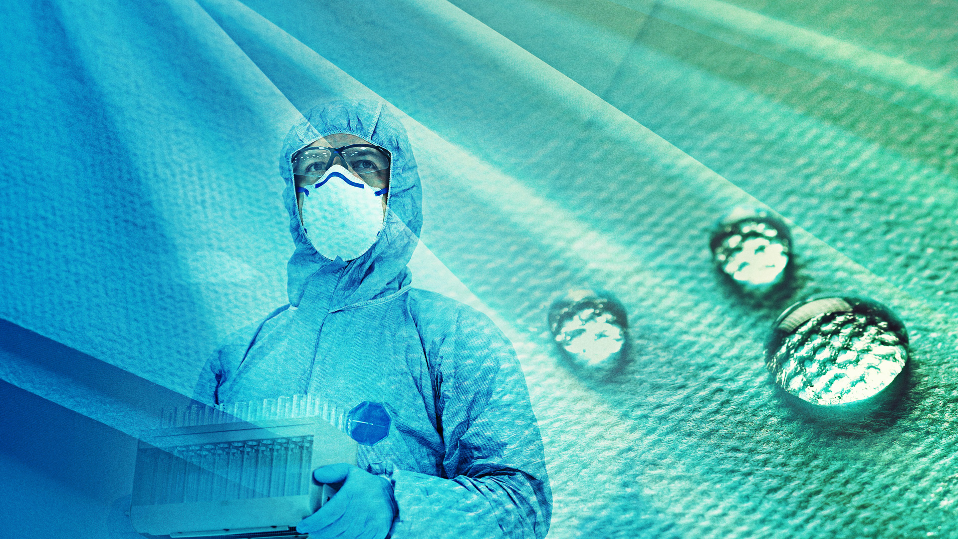 ACE develops its brands - ACE srl